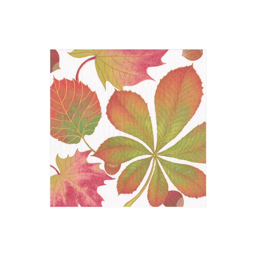 Caspari Golden Chestnut Paper Cocktail Napkins in Ivory - 20 Per ...
